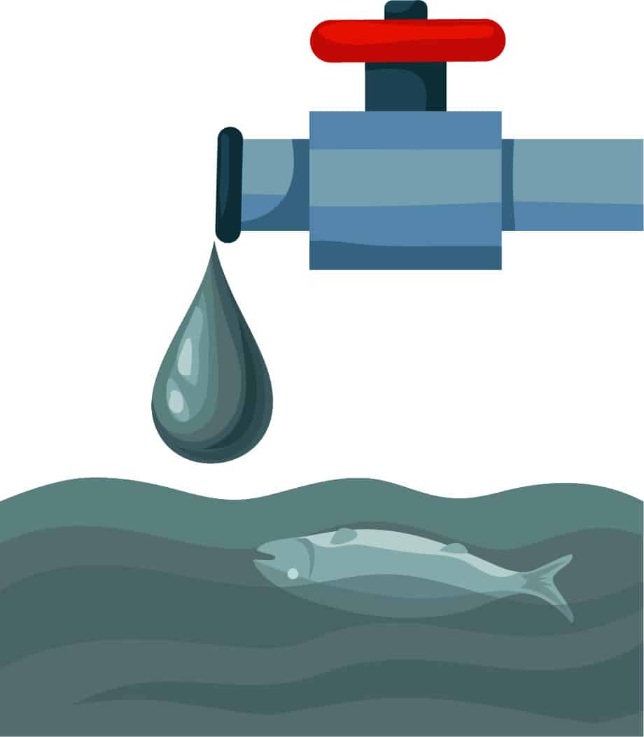 Living Healthy: Tips to Reduce Exposure to Environmental Toxins